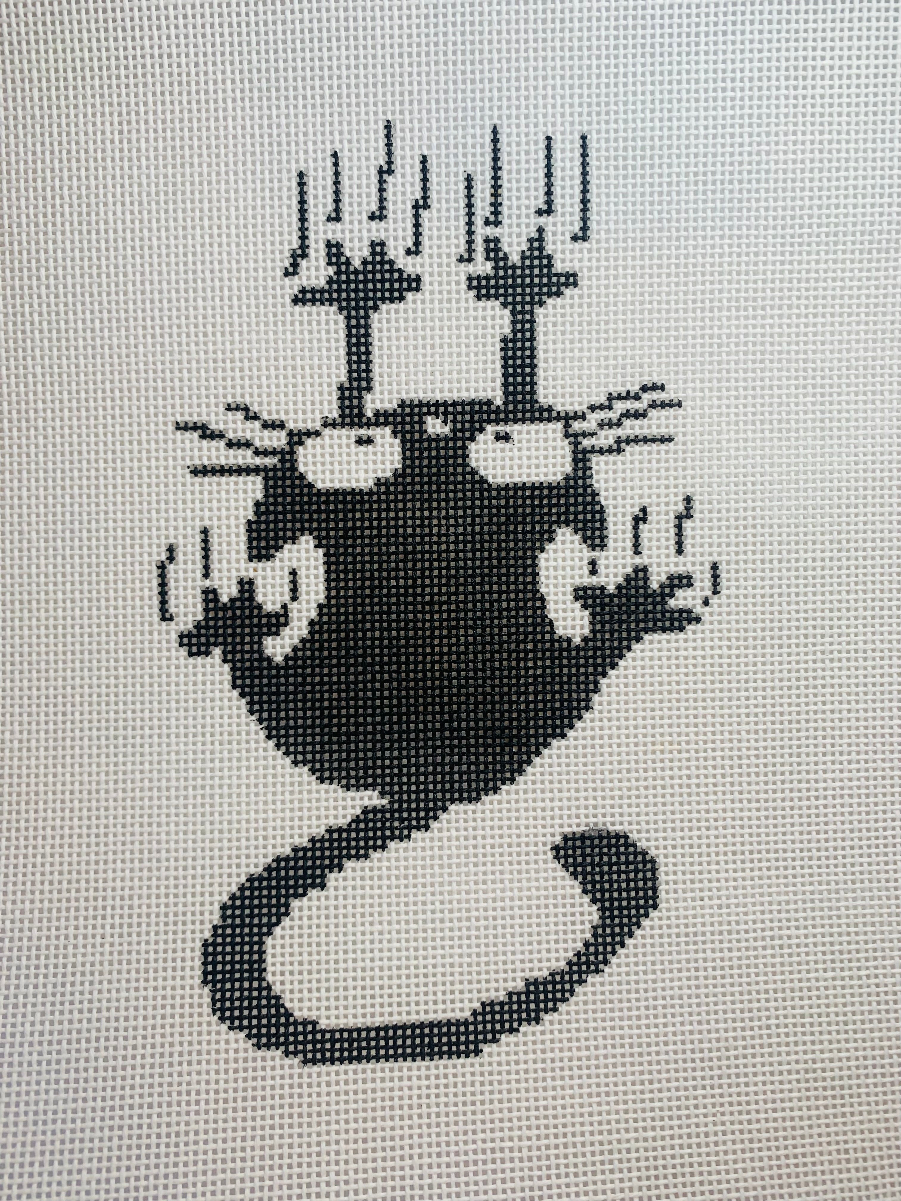 ASIT 326 Cat Scratch